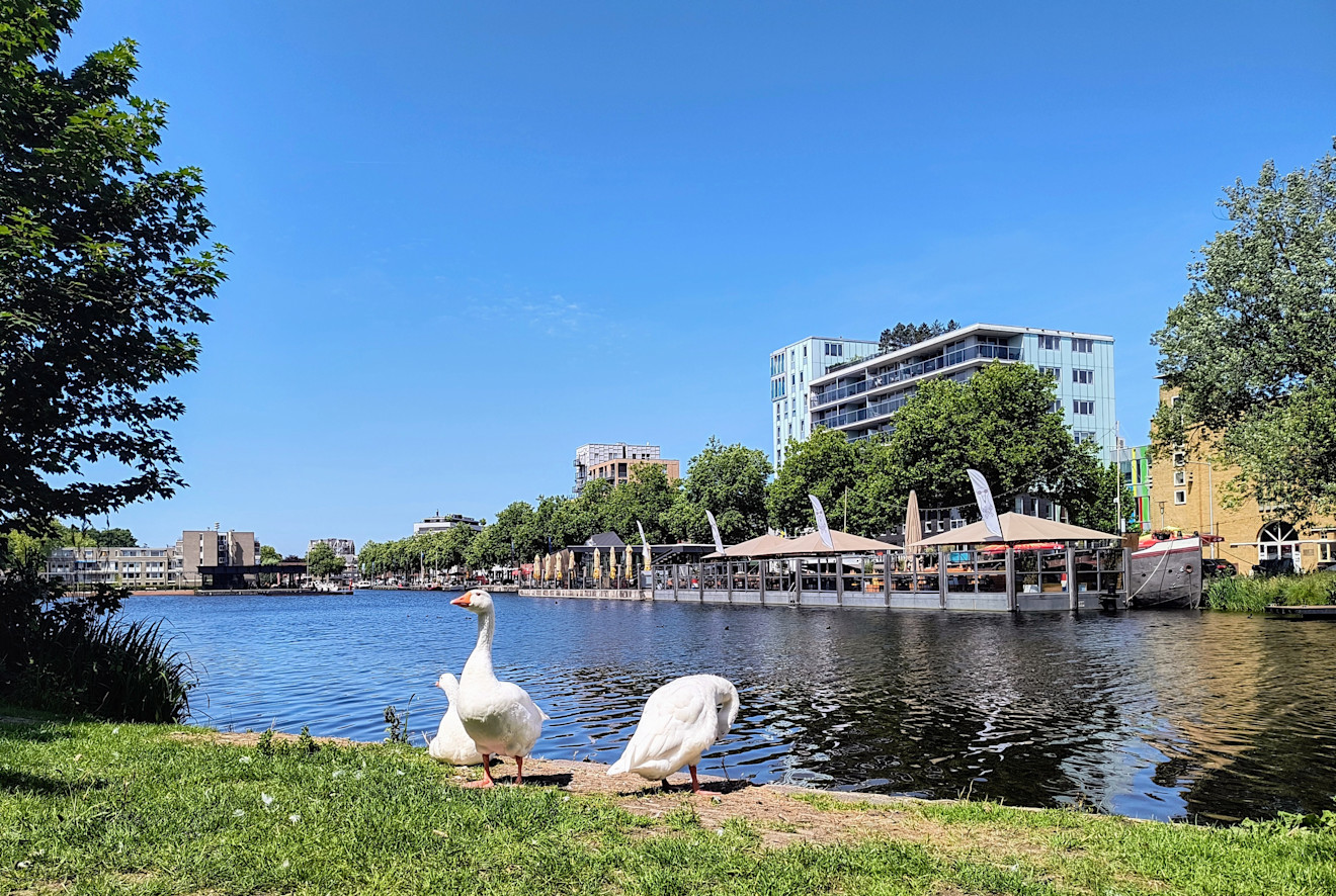 Zomer begint zijn ritme goed te vinden | Weerverteller