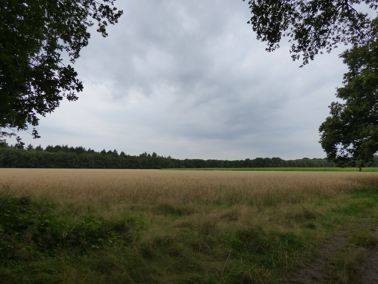 30-Daagse (+): rustig en kalm zomerweer, niet teveel regen | Weerverteller