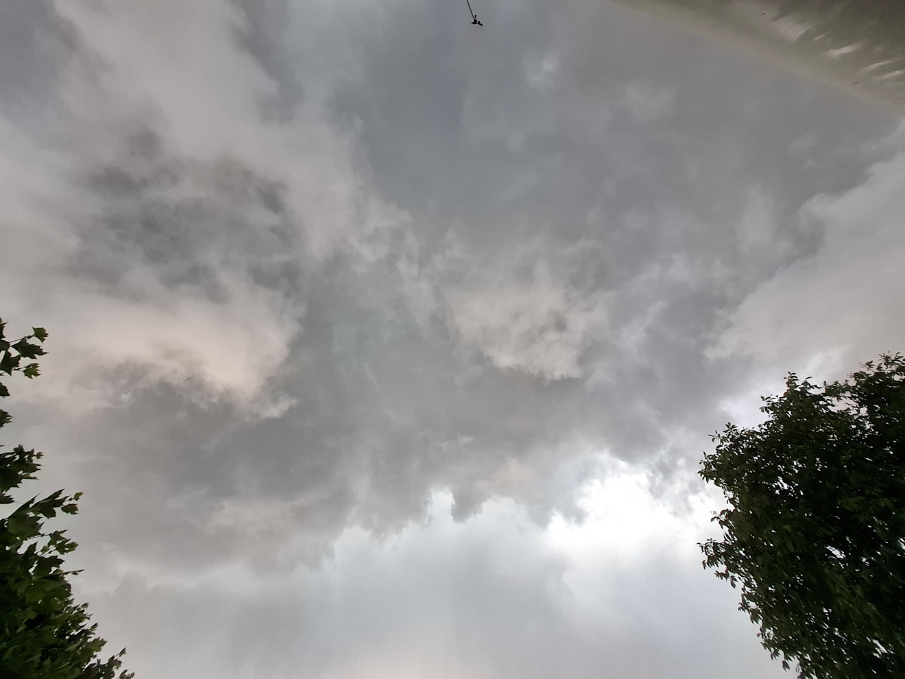 Valwind Winterswijk richt veel schade aan, ontaardt in chaos ...