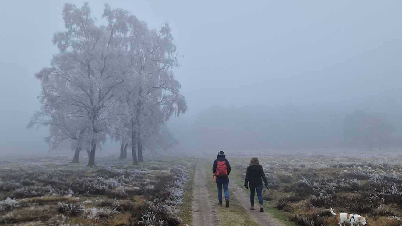 Steeds meer rijp door langdurige, lichte vorst en mist | Weerverteller