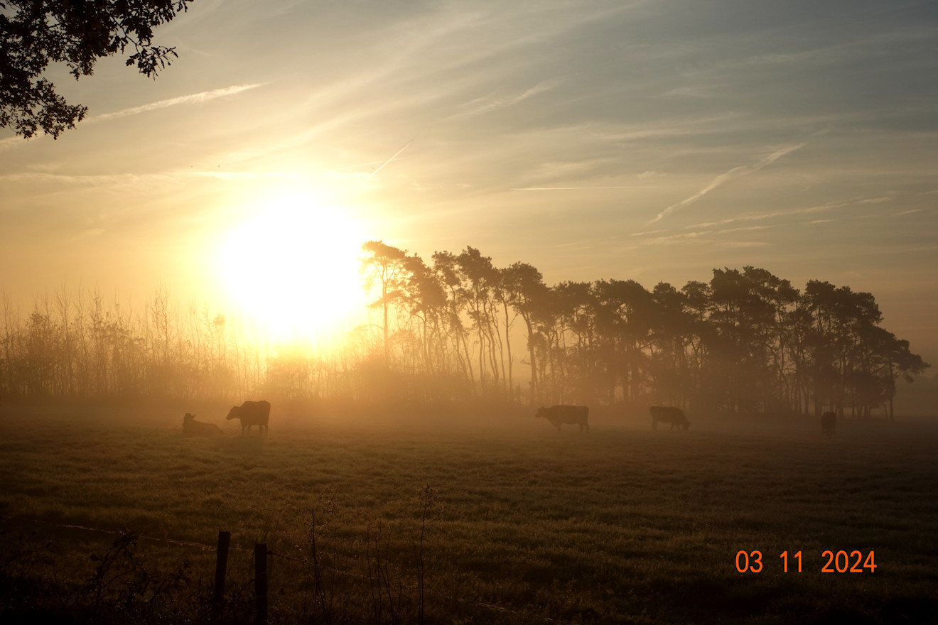 Rustig weer, maar soms grote verschillen | Weerverteller