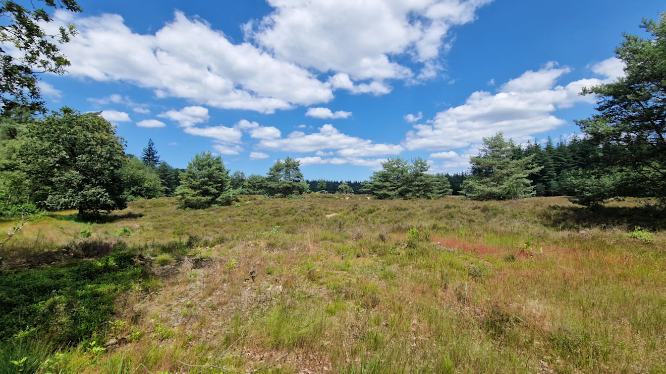 Vandaag kan het al tropisch warm worden | Weerverteller