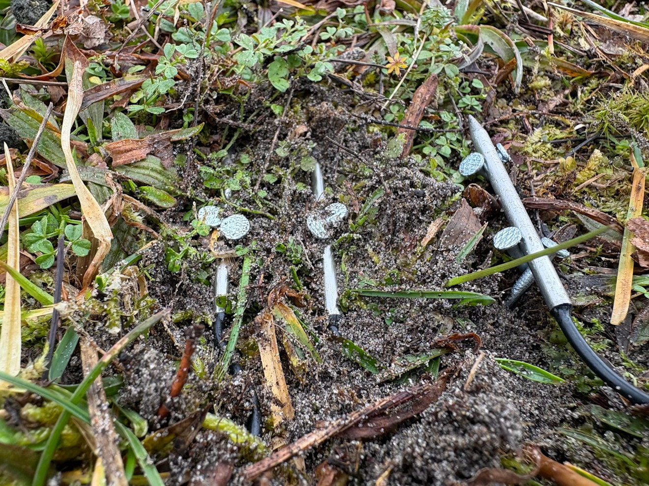 Foefje om oppervlaktetemperatuur bodem duinpannen te meten | Weerverteller